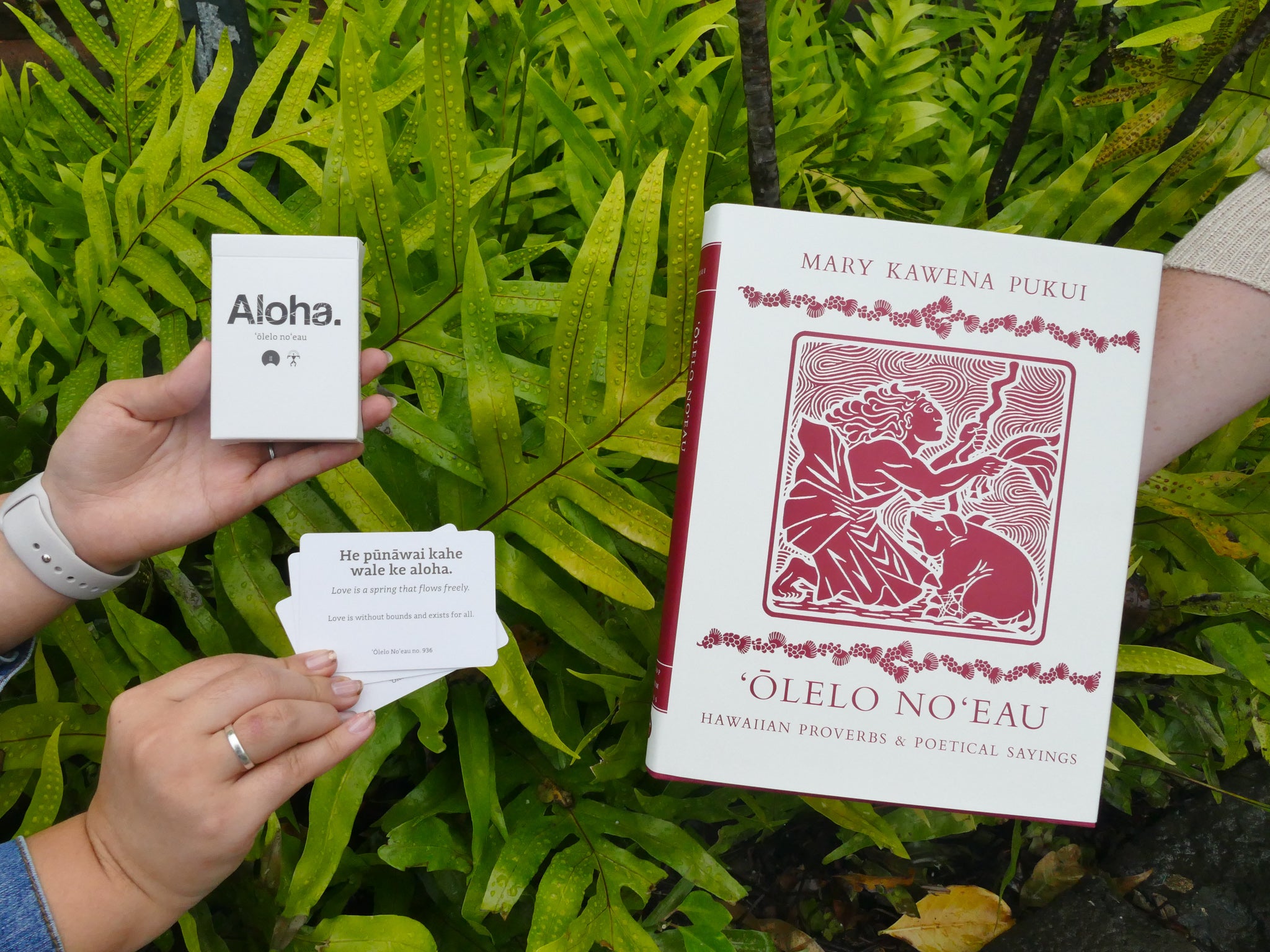 @dtlhawaii Actions of Aloha – Bishop Museum Press